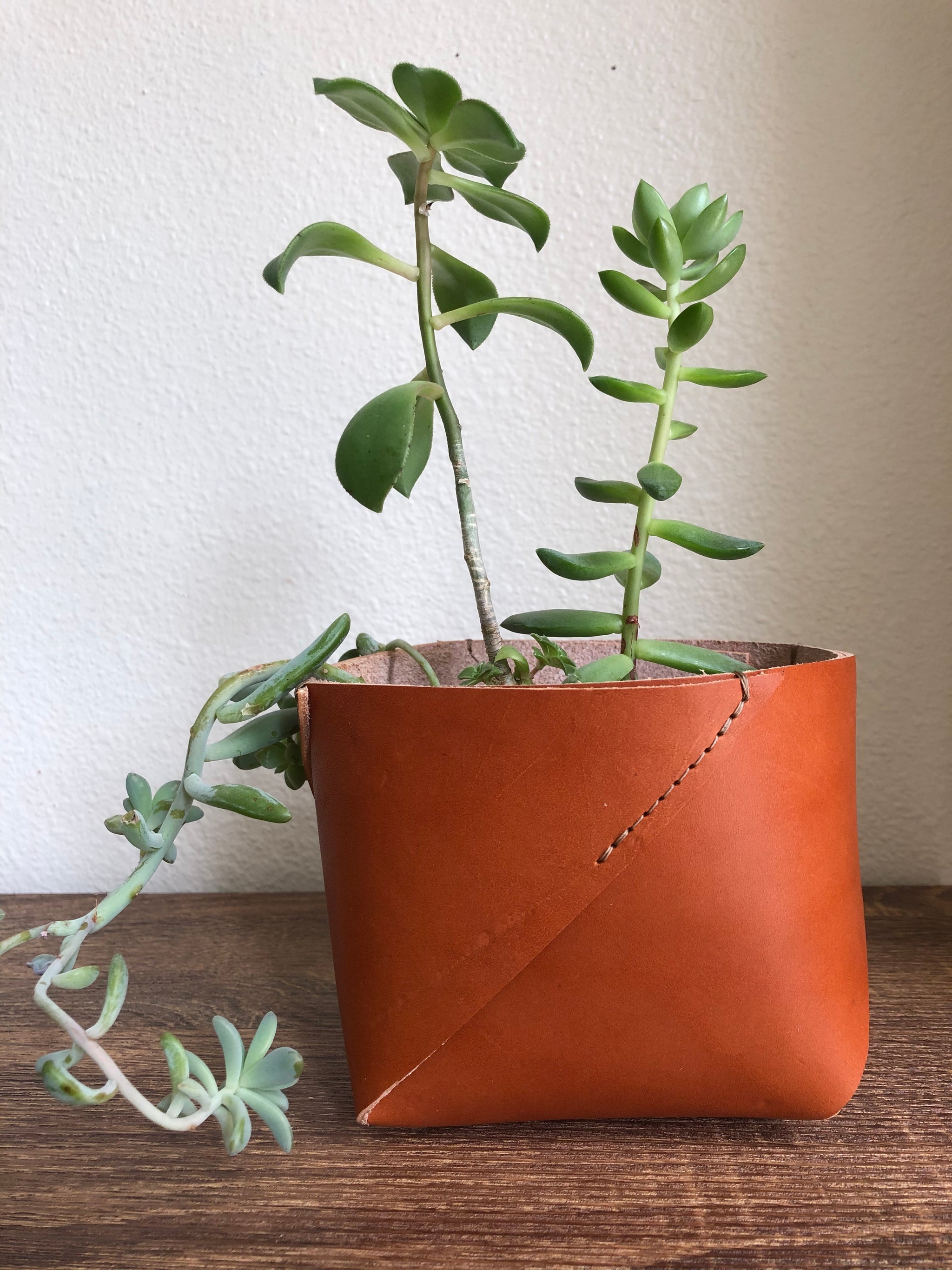 Leather Planter | Leather Storage Container | Small Leather Box | Leat ...